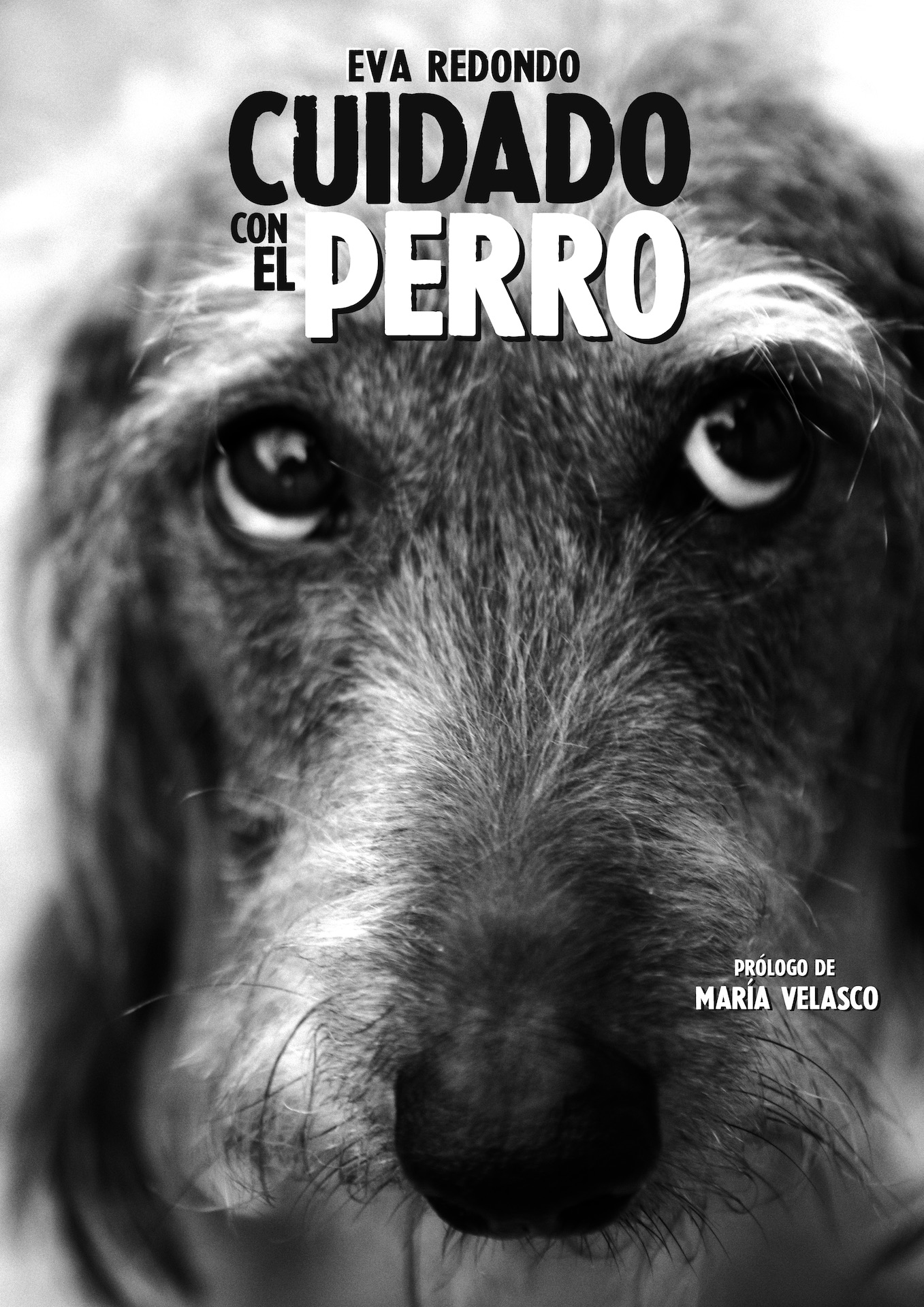 Cuidado con el perro - Revista Godot